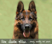 Deutsch GIFs - Get the best gif on GIFER