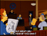 Lawyer GIFs - Get the best gif on GIFER