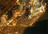 Smaug GIFs - Get the best gif on GIFER