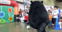 Kumamon GIFs - Get the best gif on GIFER