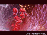 Кровь гифки, анимированные GIF изображения кровь - скачать гиф картинки ...