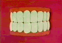 Nutrition GIFs - Get the best gif on GIFER