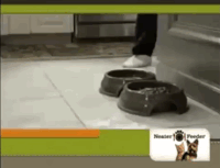 Behavior GIFs - Get the best gif on GIFER