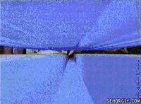 Scope GIFs - Get the best gif on GIFER