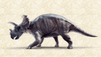 Archaeology GIFs - Get the best gif on GIFER