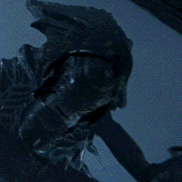 Predator GIFs - Get the best gif on GIFER