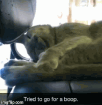 Retry GIFs - Get the best gif on GIFER