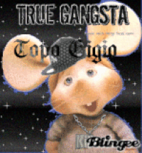 Gigio GIFs - Get the best gif on GIFER