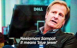 Dell monitor GIF - Conseguir o melhor gif em GIFER