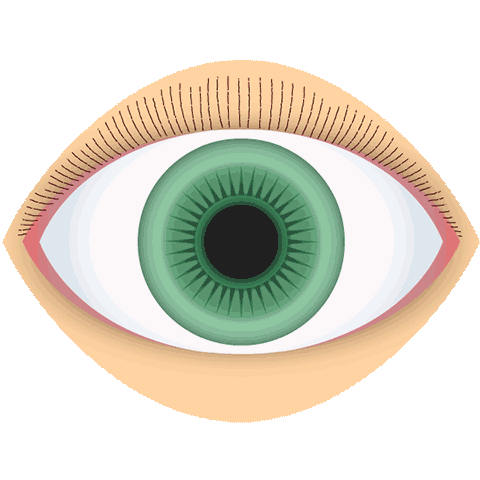 Pupils гифки, анимированные GIF изображения pupils - скачать гиф ...