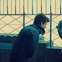 Shall GIFs - Get the best gif on GIFER