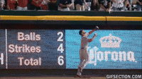 Irrelevant GIFs - Get the best gif on GIFER