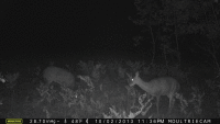 Appalachian trail GIF - Conseguir o melhor gif em GIFER