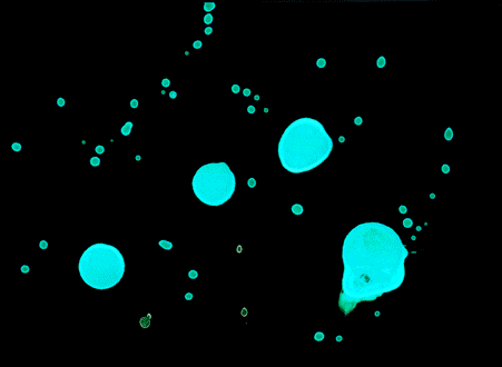 Вещество GIFs - Get the best gif on GIFER