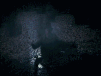 Wolfman GIFs - Get the best gif on GIFER