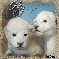 Cubs GIFs - Get the best gif on GIFER