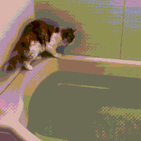 Miata GIFs - Get the best gif on GIFER