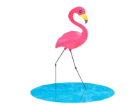 Flamingo GIFs - Get the best gif on GIFER