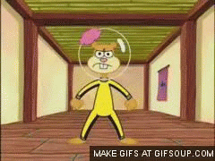 Sandy cheeks GIFs - Get the best gif on GIFER
