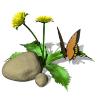 Dandelion GIFs - Get the best gif on GIFER