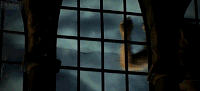 Werewolf GIFs - Get the best gif on GIFER