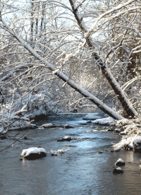 River GIFs - Get the best gif on GIFER