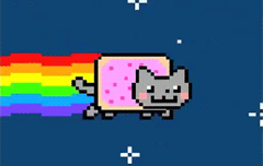 Rocket cat GIF - Conseguir o melhor gif em GIFER