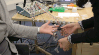 Physiology GIFs - Get the best gif on GIFER