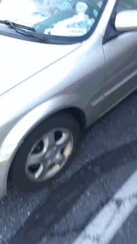Carbage GIFs - Get the best gif on GIFER