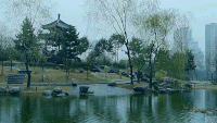 Countryside GIFs - Get the best gif on GIFER