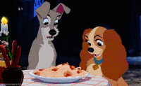 Tramp GIFs - Get the best gif on GIFER