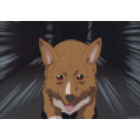 Yeezy GIFs - Get the best gif on GIFER