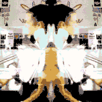 Espejo GIFs - Get the best gif on GIFER