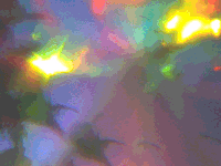 Calcium GIFs - Get the best gif on GIFER