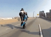 Motorcycle GIFs - Get the best gif on GIFER
