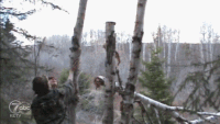 Timber GIFs - Get the best gif on GIFER