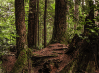 Conservation GIFs - Get the best gif on GIFER