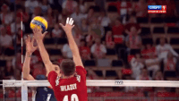 Volleyball GIFs - Get the best gif on GIFER