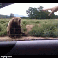 Bye GIFs - Get the best gif on GIFER