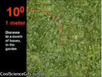 Measurement GIFs - Get the best gif on GIFER