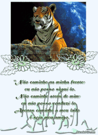 Hashtag GIFs - Get the best gif on GIFER