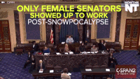 Lisa murkowski GIFs - Obtenez le meilleur gif sur GIFER