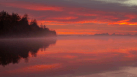 Dawn GIFs - Get the best gif on GIFER
