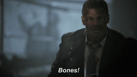 Bonesfinale GIFs - Get the best gif on GIFER