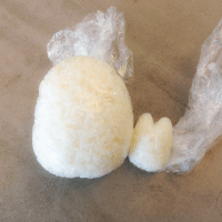 Bento GIFs - Get the best gif on GIFER