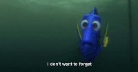 Dory GIFs - Get the best gif on GIFER