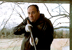 Randomizer GIFs - Get the best gif on GIFER