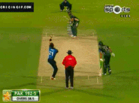 Pakistan GIFs - Get the best gif on GIFER