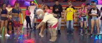 Festejo GIFs - Get the best gif on GIFER