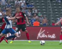 Thechive GIFs - Get the best gif on GIFER